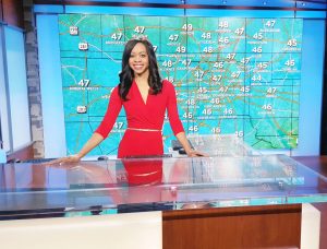 TV Anchors and Reporters in The News — Mort Meisner Associates