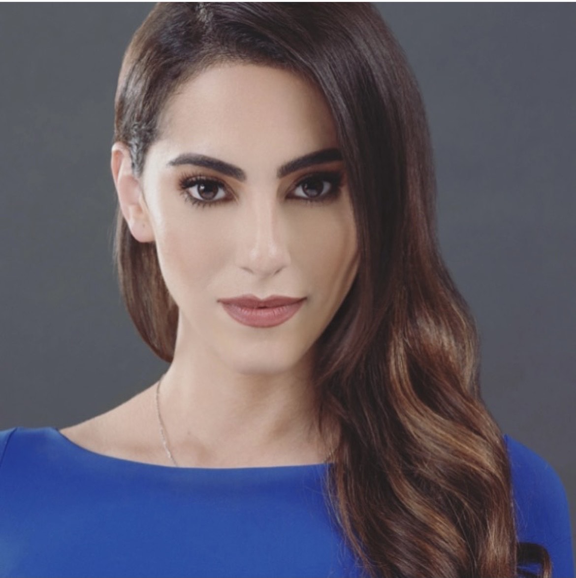 TV Anchors and Reporters in The News — Mort Meisner Associates